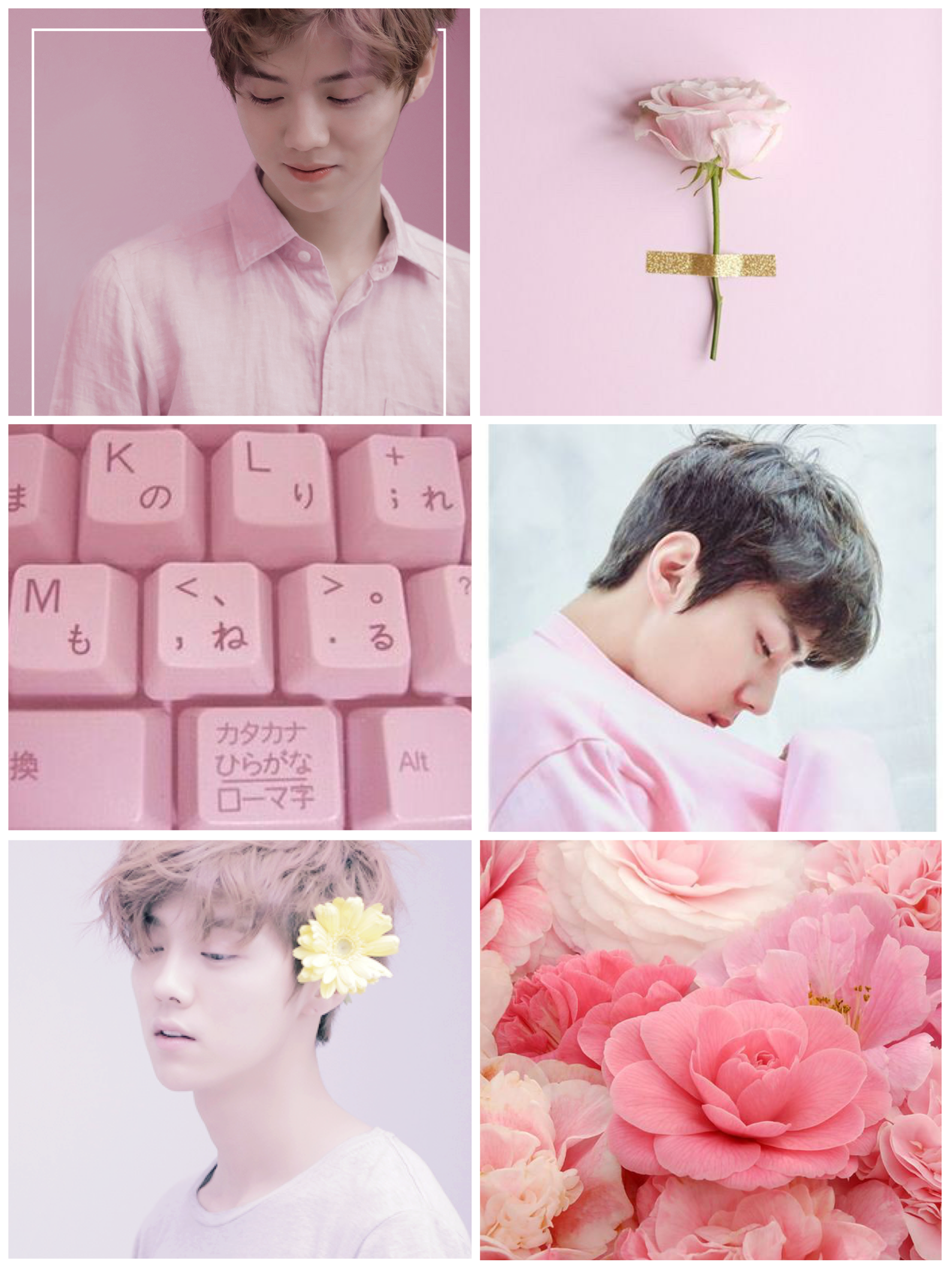 Hunhan Wallpaper